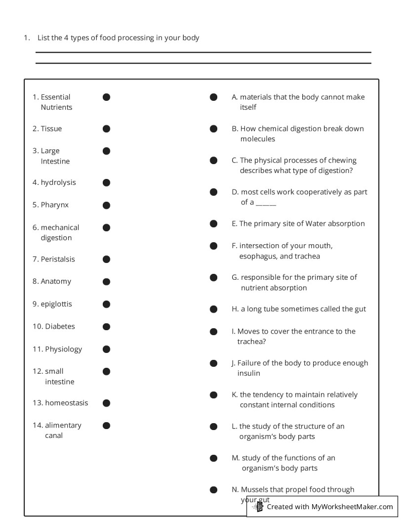 My Worksheet Title - My Worksheet Maker: Create Your Own Worksheets