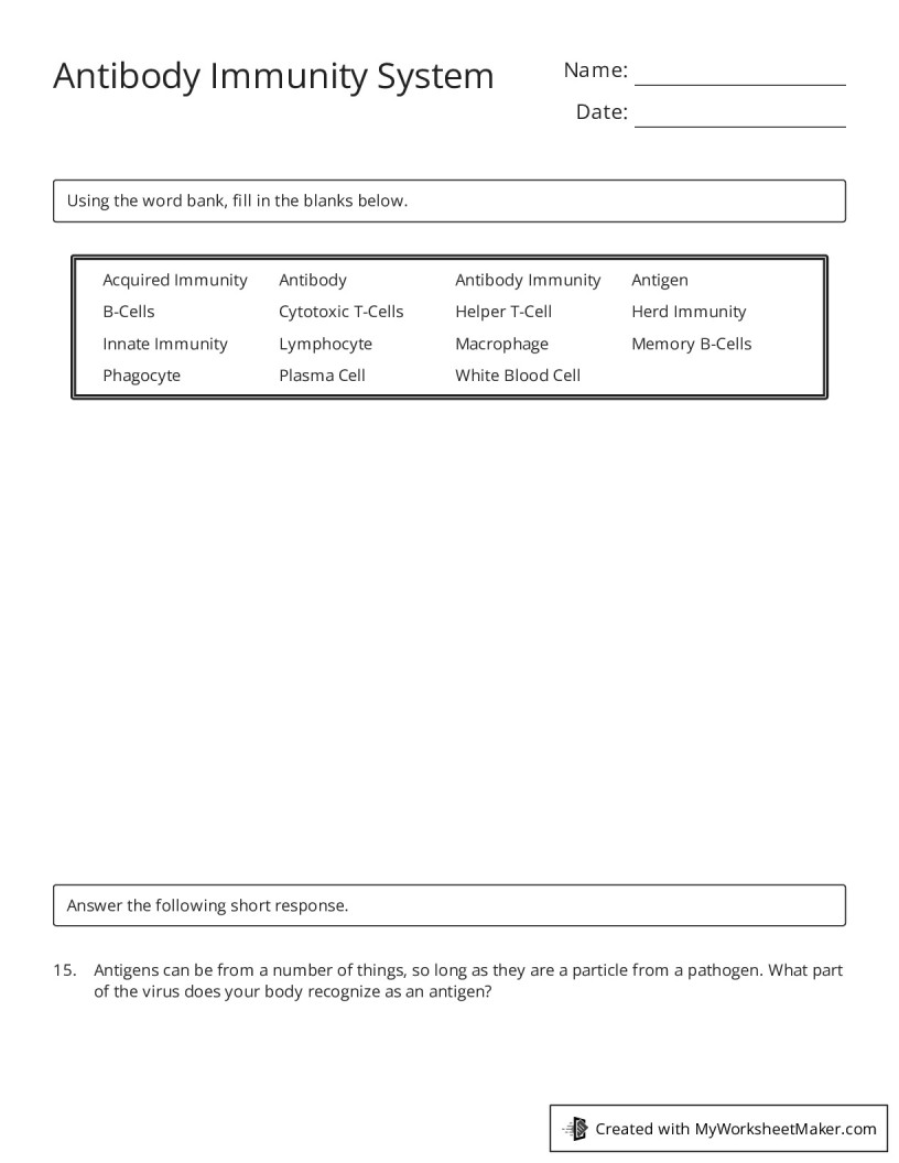 Antibody Immunity System - My Worksheet Maker: Create Your Own Worksheets