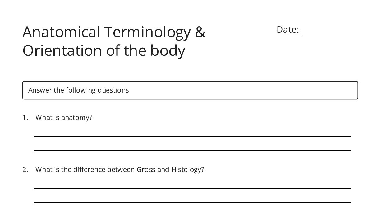Anatomical Terminology & Orientation of the body - My Worksheet Maker ...