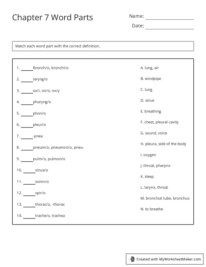 Chapter 7 Word Parts - My Worksheet Maker: Create Your Own Worksheets