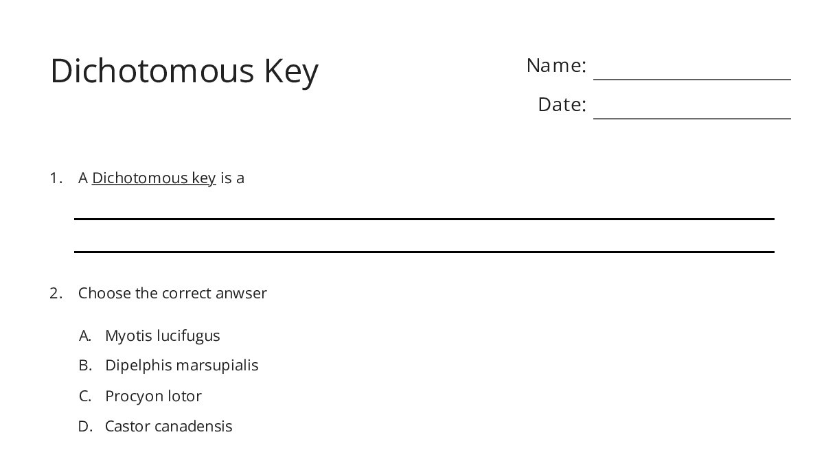 Dichotomous Key - My Worksheet Maker: Create Your Own Worksheets