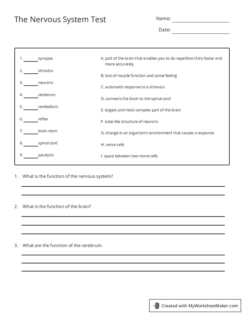 The Nervous System Test - My Worksheet Maker: Create Your Own Worksheets