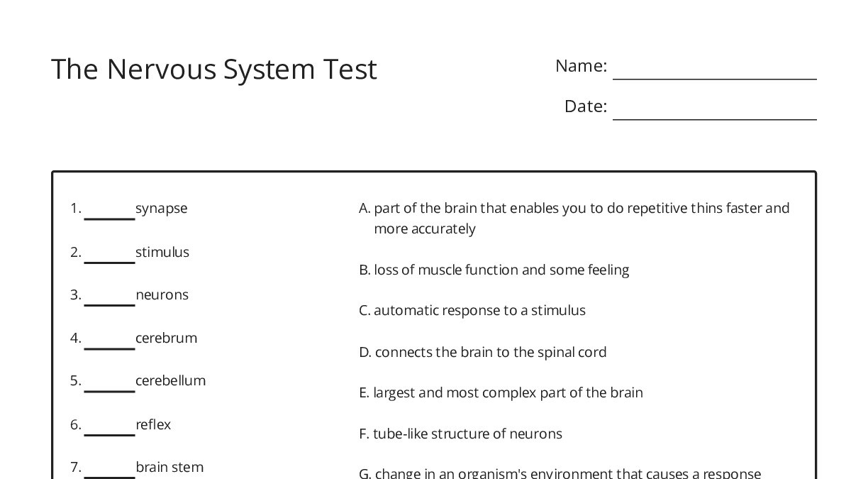 The Nervous System Test - My Worksheet Maker: Create Your Own Worksheets