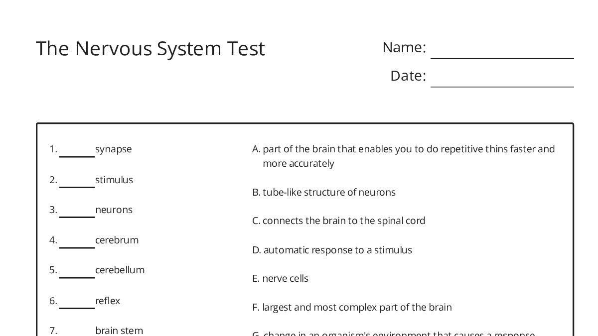 The Nervous System Test - My Worksheet Maker: Create Your Own Worksheets