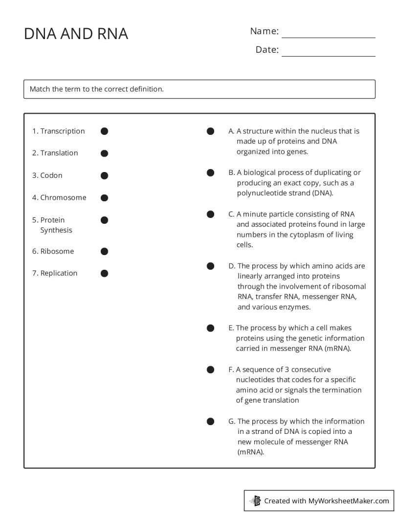 DNA AND RNA - My Worksheet Maker: Create Your Own Worksheets