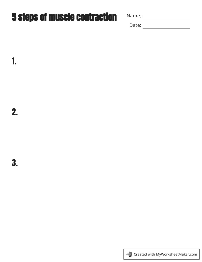 5 steps of muscle contraction - My Worksheet Maker: Create Your Own ...