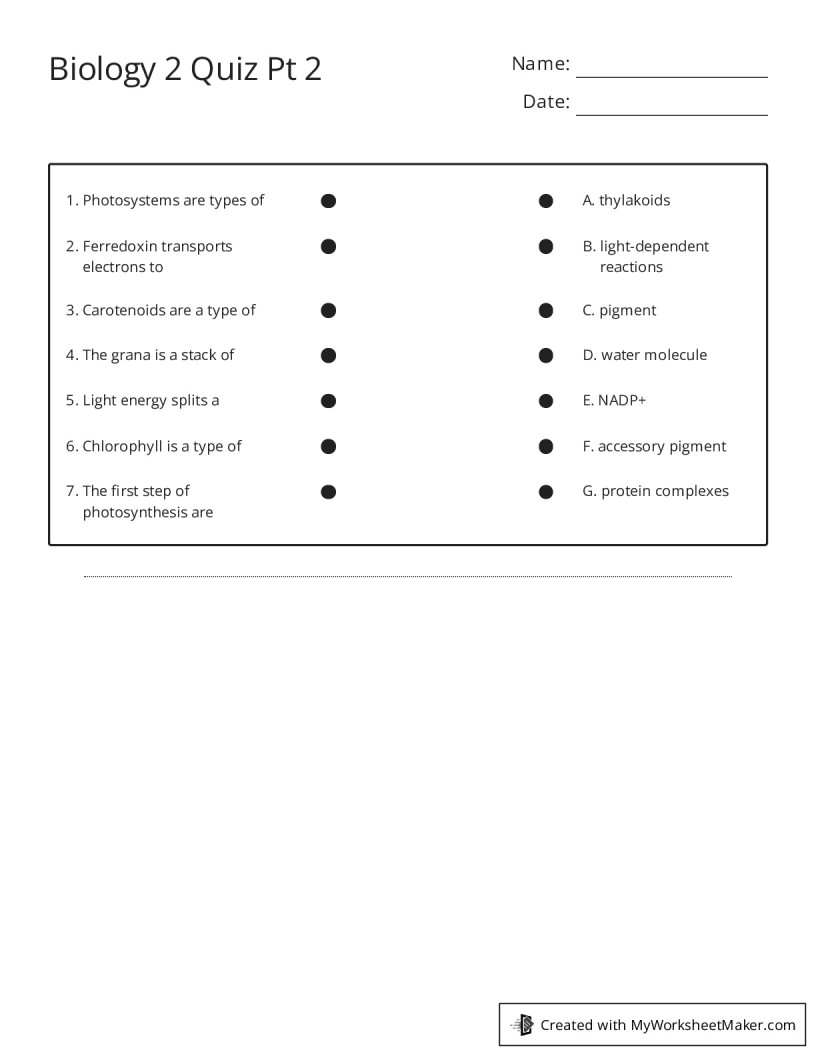 My Worksheet Maker: The Best Online Worksheet Creator