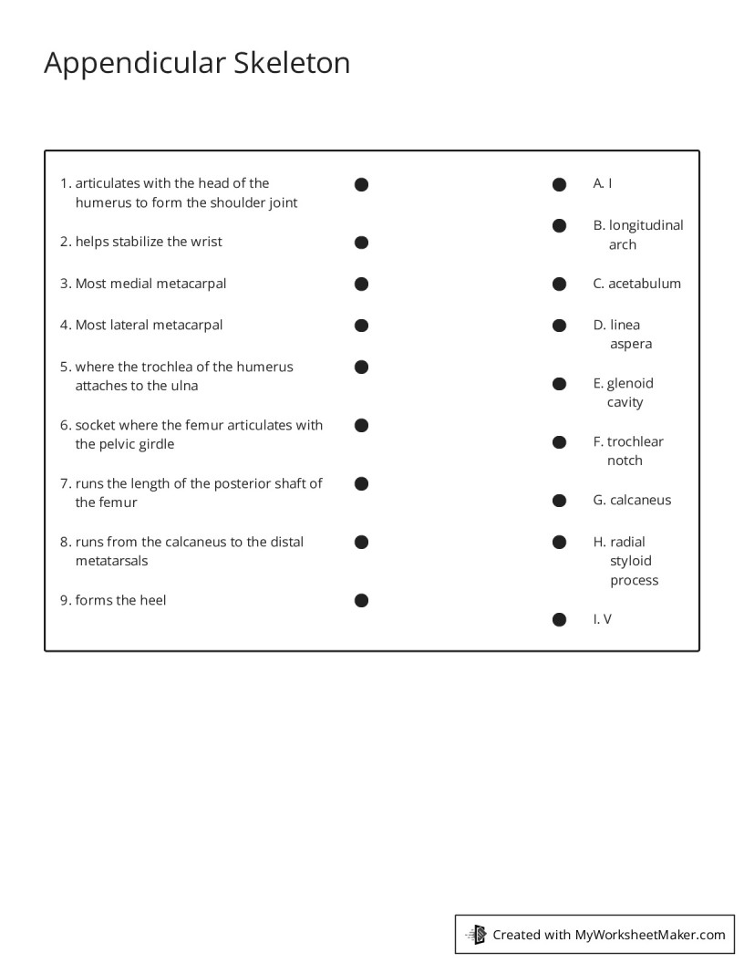 Appendicular Skeleton - My Worksheet Maker: Create Your Own Worksheets