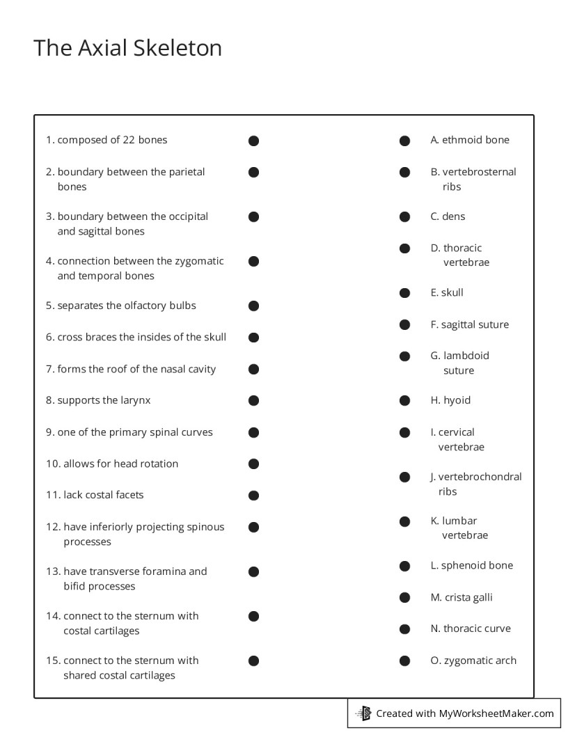 The Axial Skeleton - My Worksheet Maker: Create Your Own Worksheets