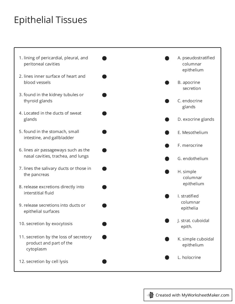 Epithelial Tissues - My Worksheet Maker: Create Your Own Worksheets