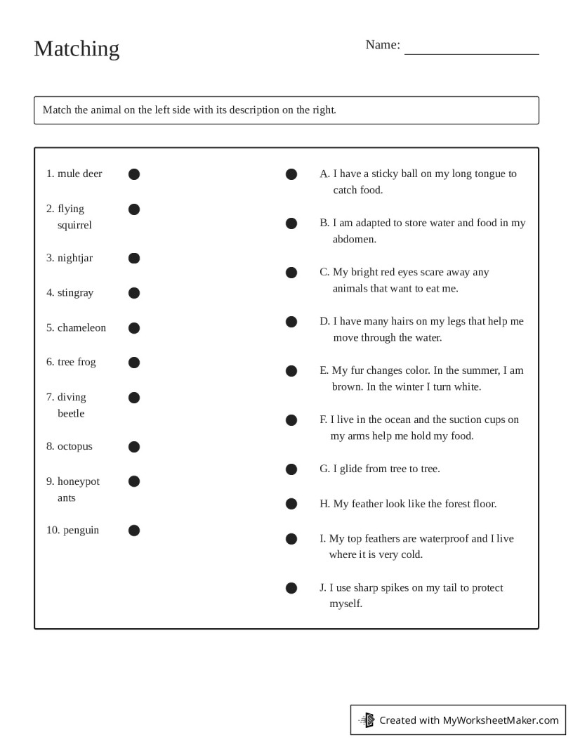 Matching - My Worksheet Maker: Create Your Own Worksheets