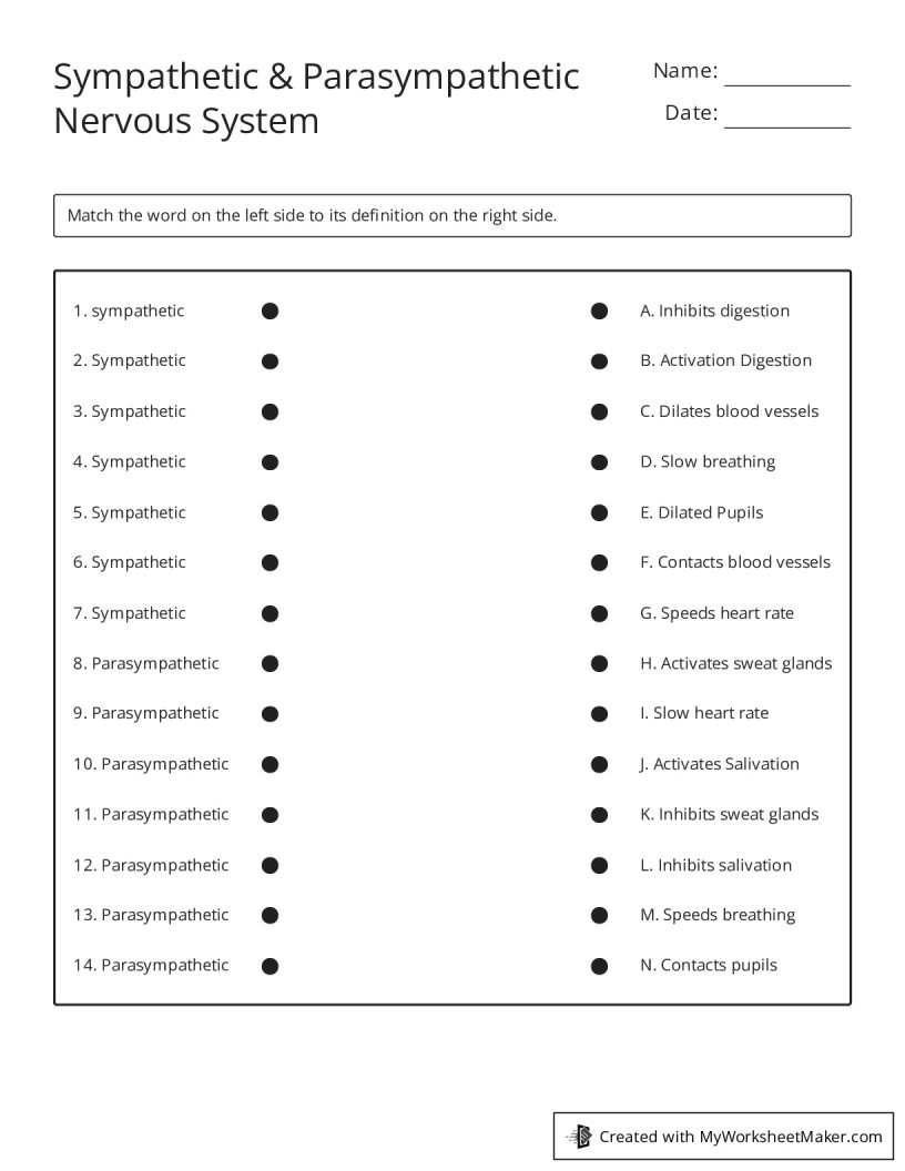 Sympathetic & Parasympathetic Nervous System - My Worksheet Maker ...