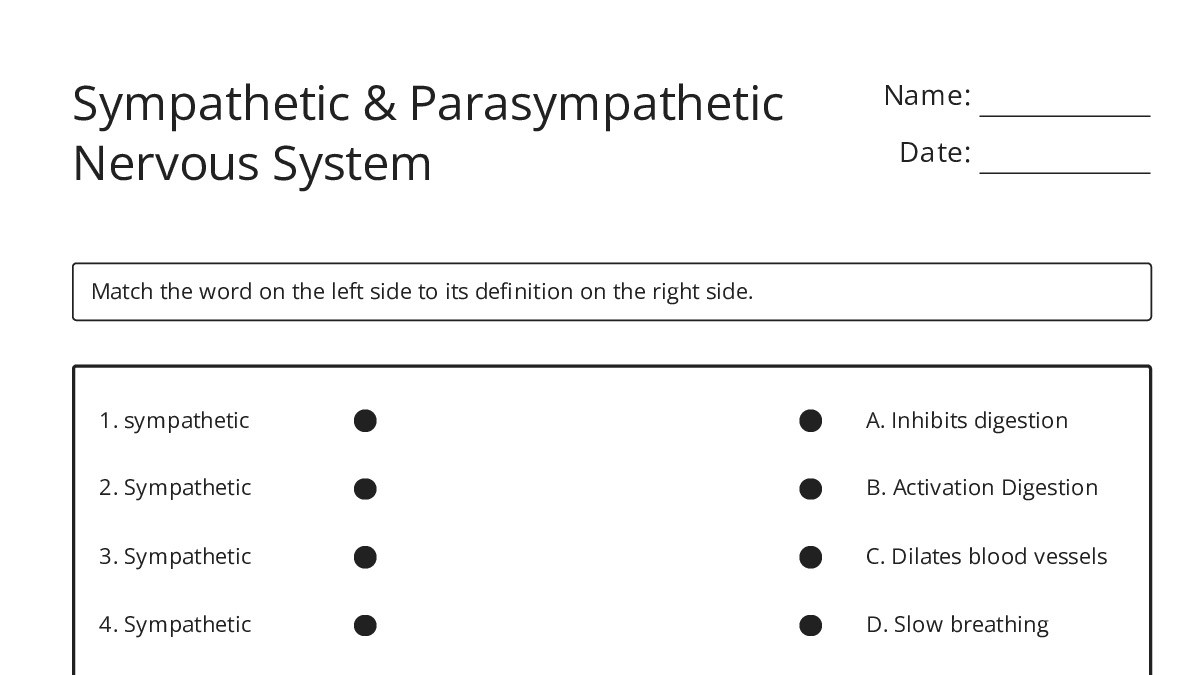 Sympathetic & Parasympathetic Nervous System - My Worksheet Maker ...