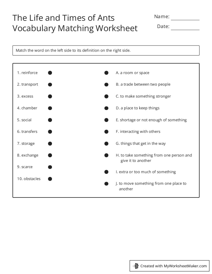 The Life and Times of Ants Vocabulary Matching Worksheet - My Worksheet ...