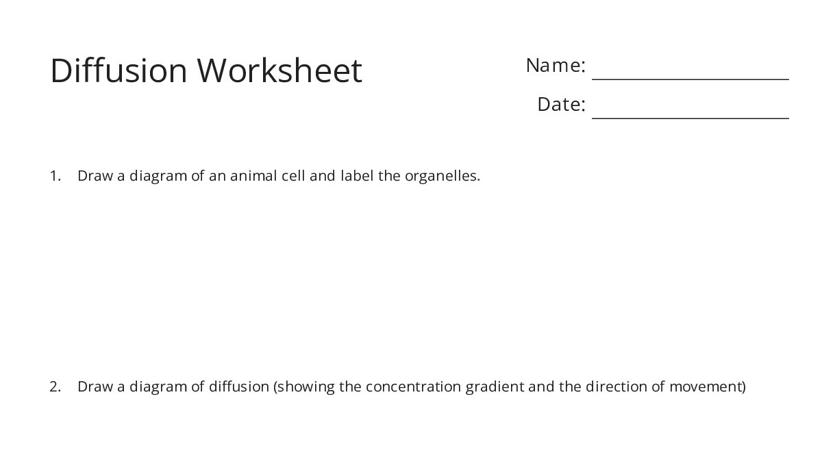 Diffusion Worksheet - My Worksheet Maker: Create Your Own Worksheets