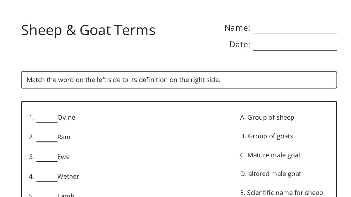 Sheep & Goat Terms - My Worksheet Maker: Create Your Own Worksheets