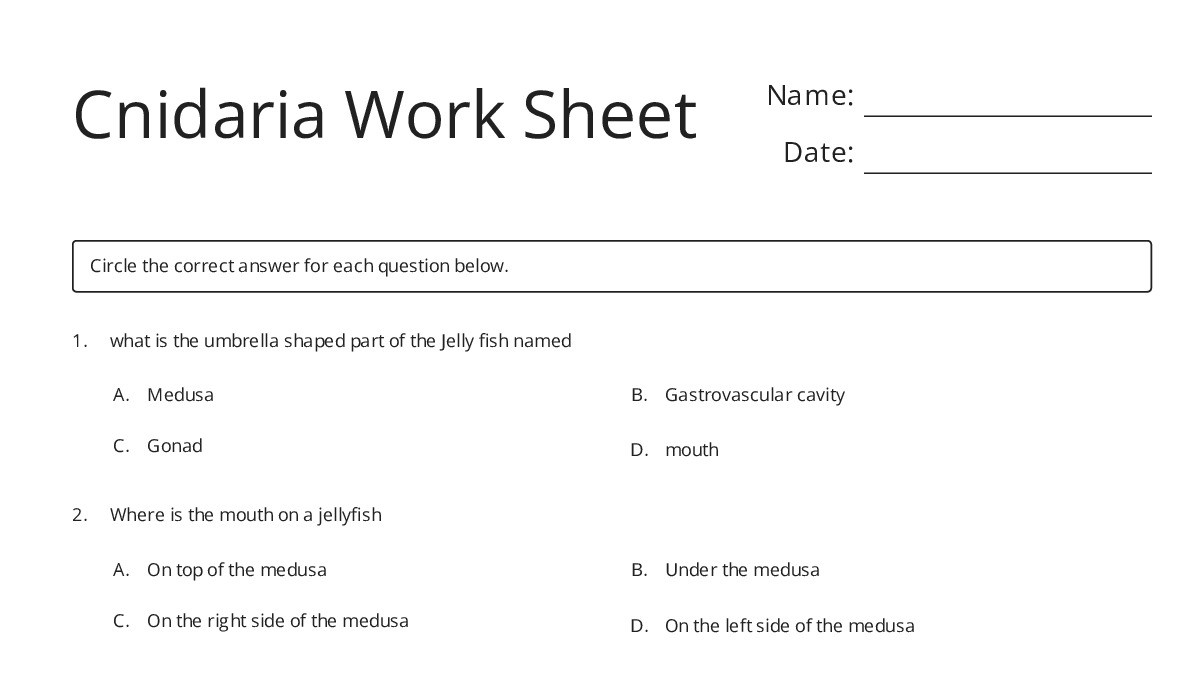 Cnidaria Work Sheet - My Worksheet Maker: Create Your Own Worksheets