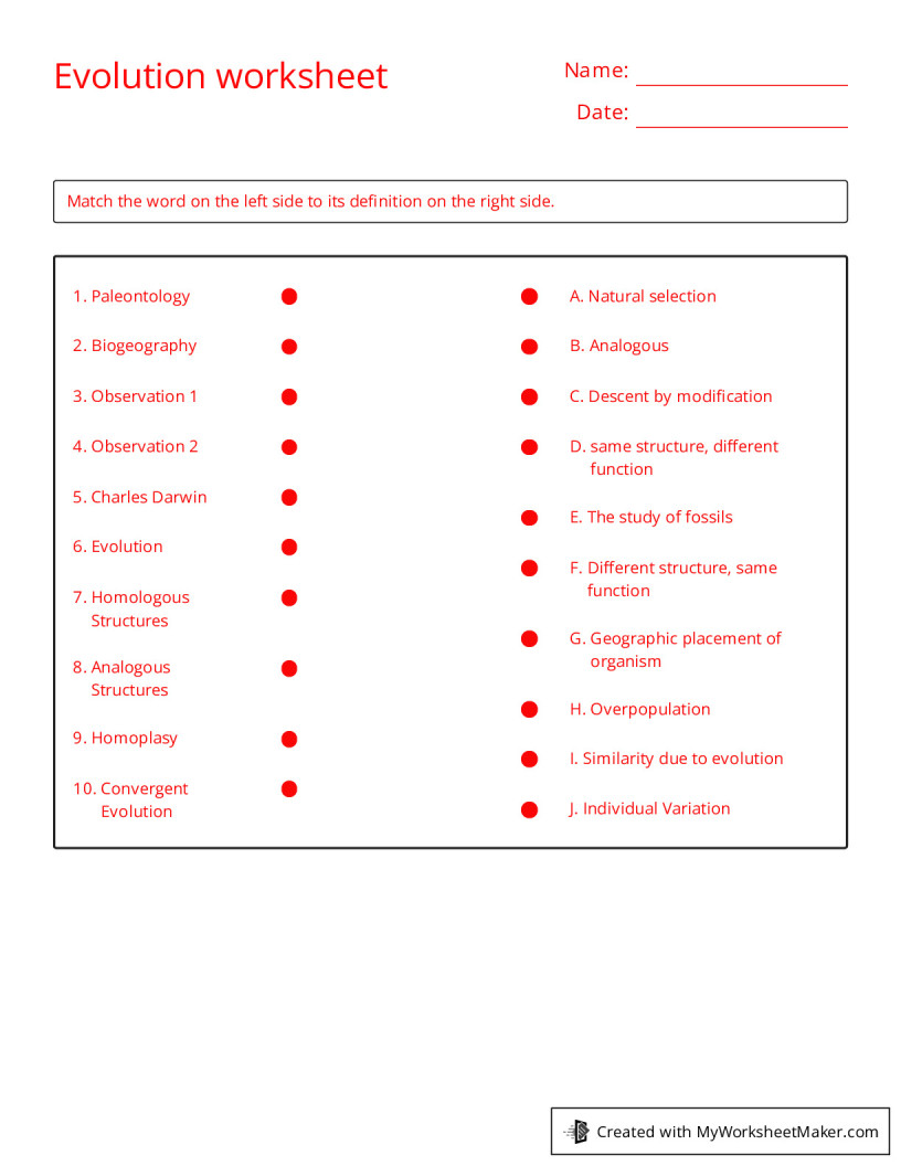 Evolution worksheet - My Worksheet Maker: Create Your Own Worksheets