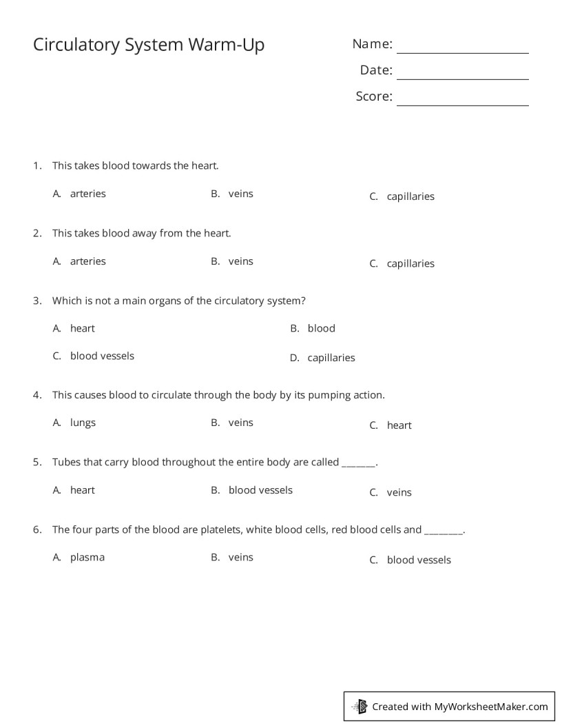Circulatory System Warm-Up - My Worksheet Maker: Create Your Own Worksheets
