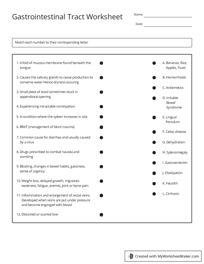 Gastrointestinal Tract Worksheet - My Worksheet Maker: Create Your Own ...