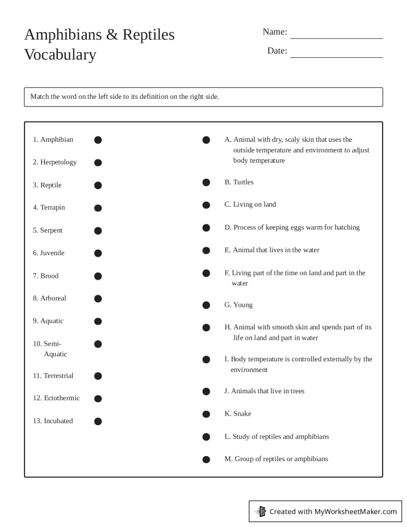 Amphibians & Reptiles Vocabulary - My Worksheet Maker: Create Your Own ...