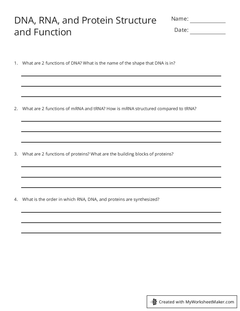 DNA, RNA, and Protein Structure and Function - My Worksheet Maker ...