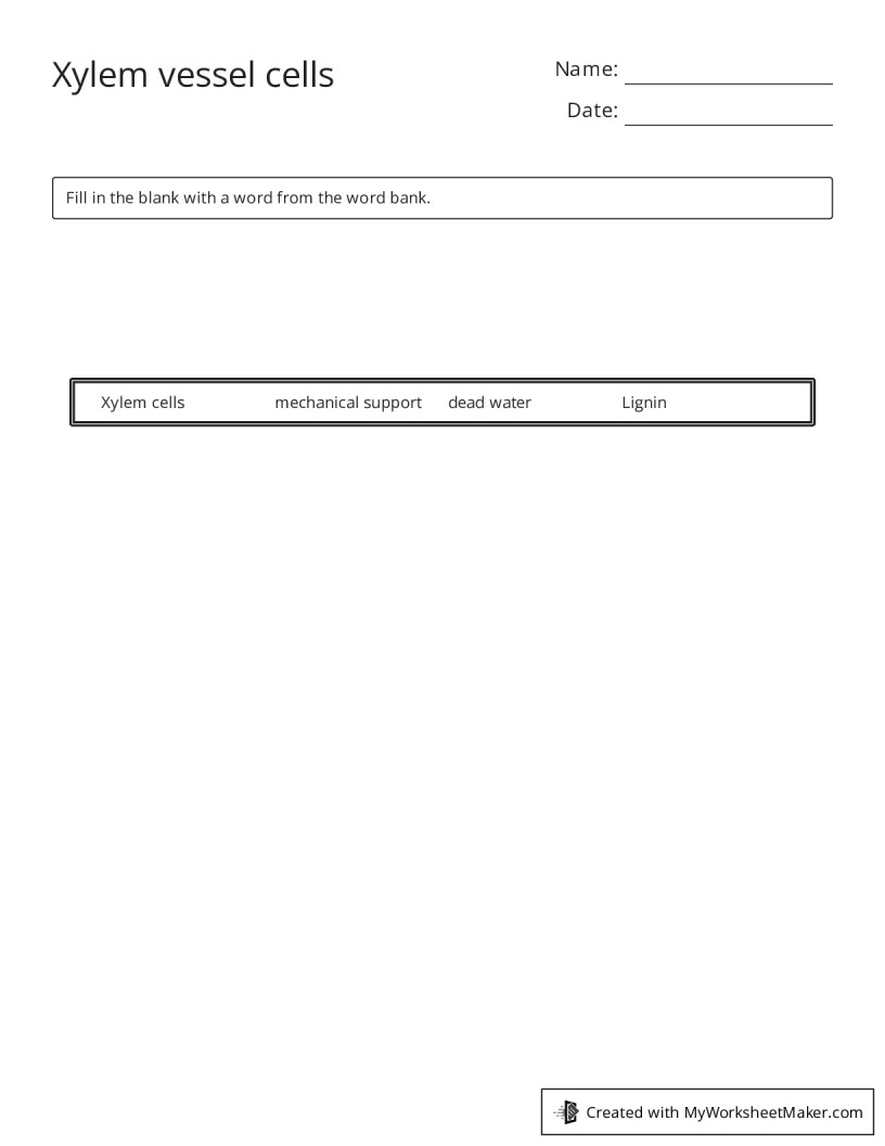 Xylem vessel cells - My Worksheet Maker: Create Your Own Worksheets