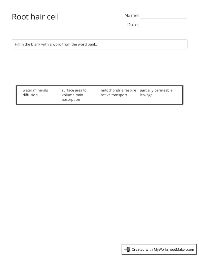 Root hair cell - My Worksheet Maker: Create Your Own Worksheets
