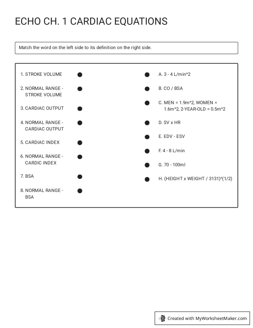 ECHO CH. 1 CARDIAC EQUATIONS - My Worksheet Maker: Create Your Own Worksheets
