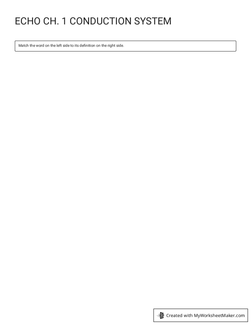 ECHO CH. 1 CONDUCTION SYSTEM - My Worksheet Maker: Create Your Own ...