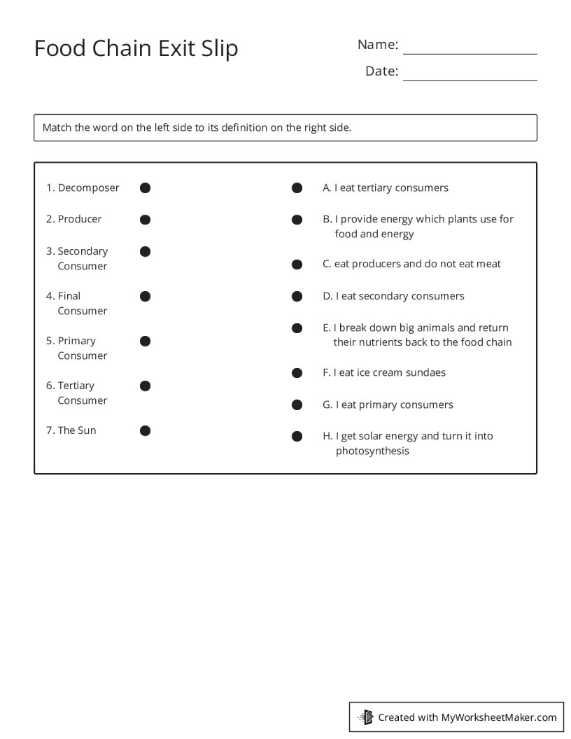 Food Chain Exit Slip - My Worksheet Maker: Create Your Own Worksheets