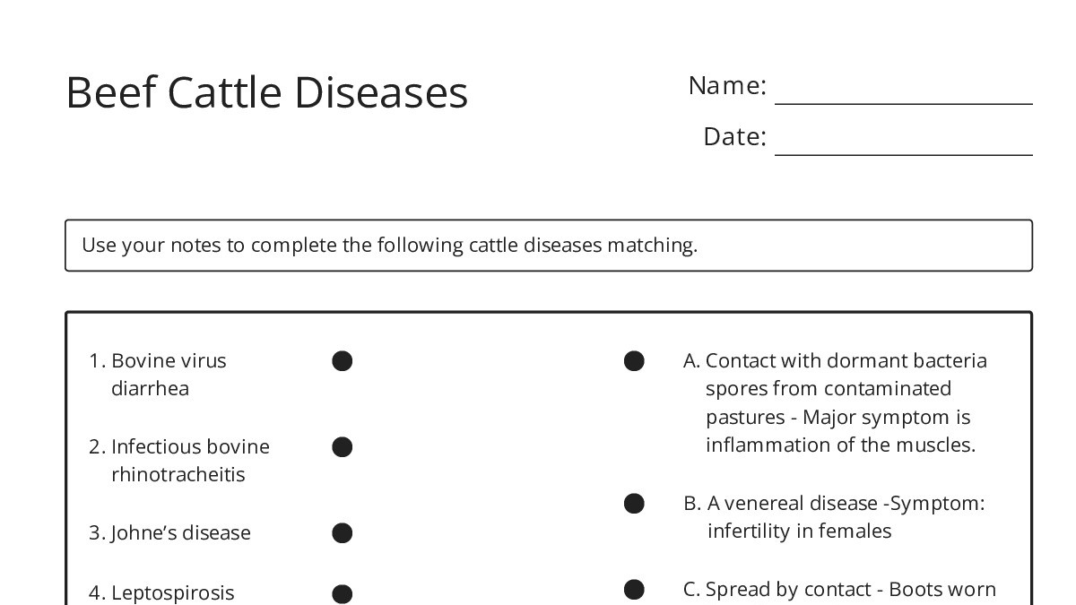 Beef Cattle Diseases - My Worksheet Maker: Create Your Own Worksheets