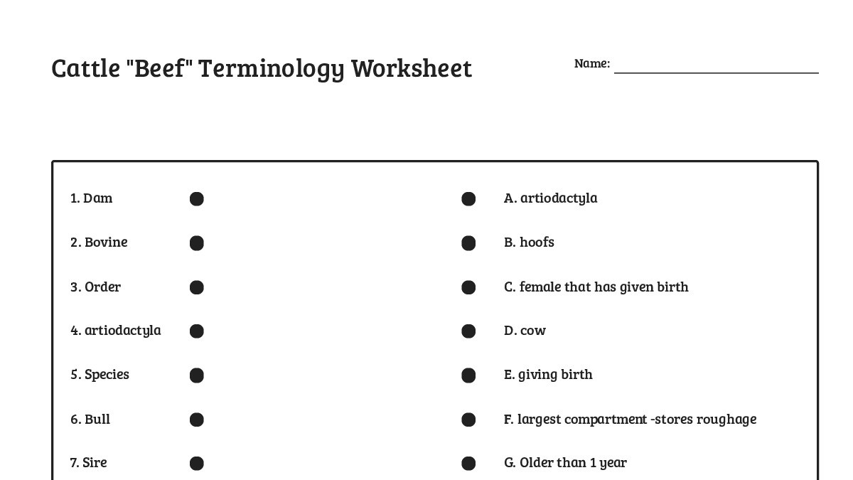 Cattle "Beef" Terminology Worksheet - My Worksheet Maker: Create Your ...