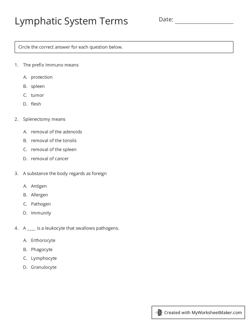 Lymphatic System Terms - My Worksheet Maker: Create Your Own Worksheets