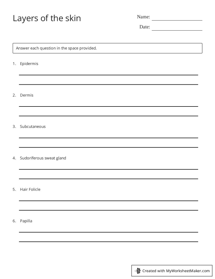 Layers of the skin - My Worksheet Maker: Create Your Own Worksheets