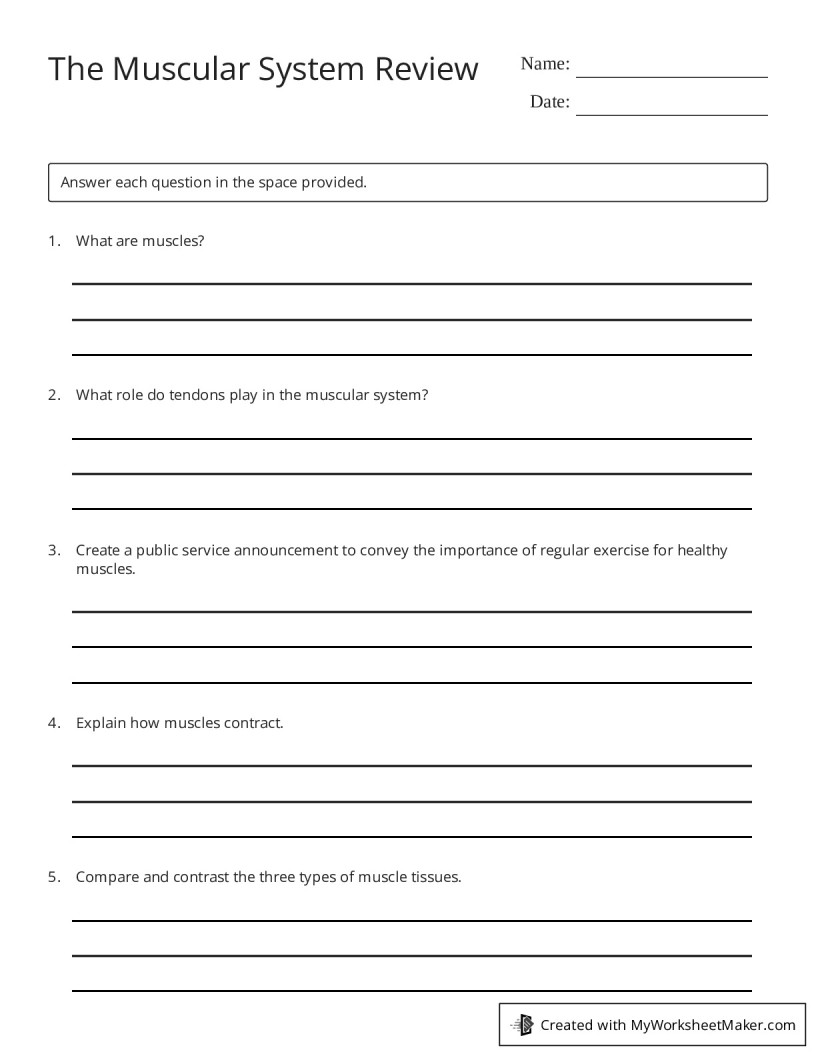 The Muscular System Review - My Worksheet Maker: Create Your Own Worksheets