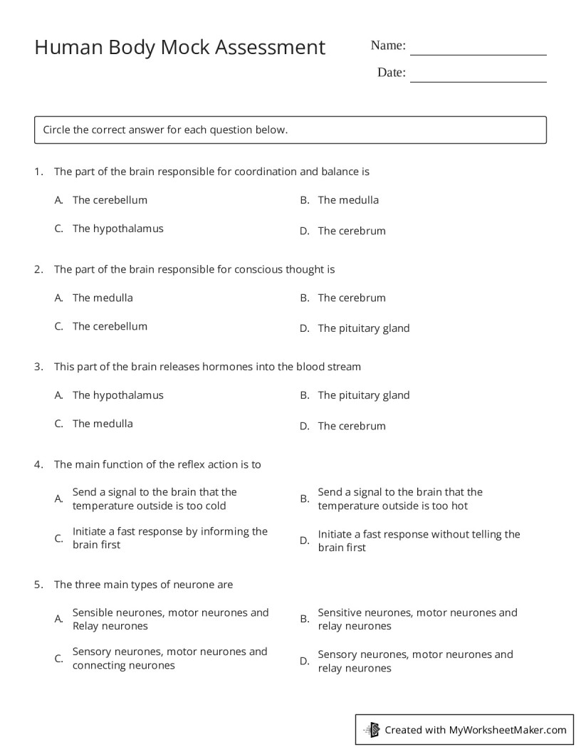 Human Body Mock Assessment - My Worksheet Maker: Create Your Own Worksheets