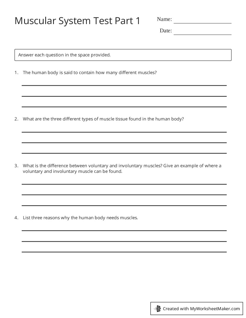 Muscular System Test Part 1 - My Worksheet Maker: Create Your Own ...