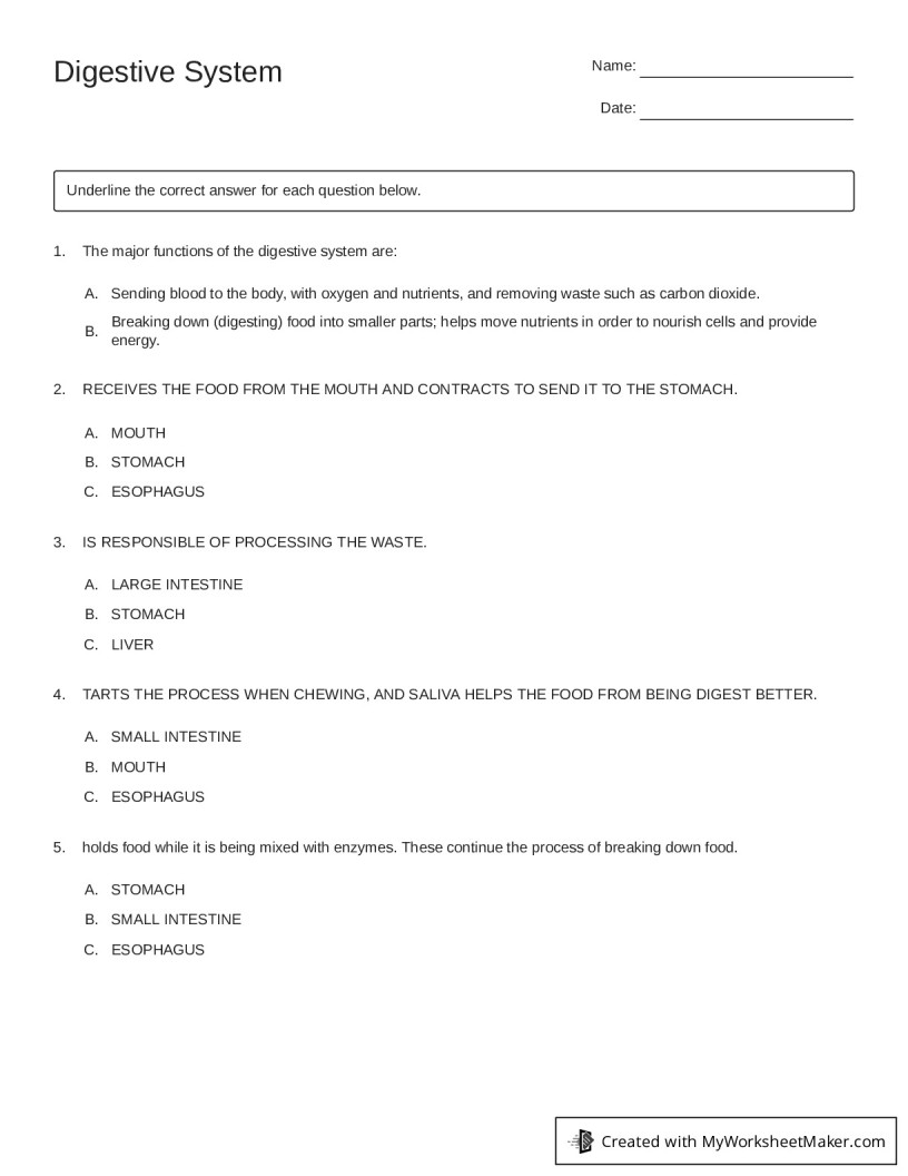 Digestive System - My Worksheet Maker: Create Your Own Worksheets