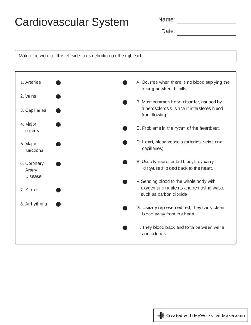 Cardiovascular System - My Worksheet Maker: Create Your Own Worksheets