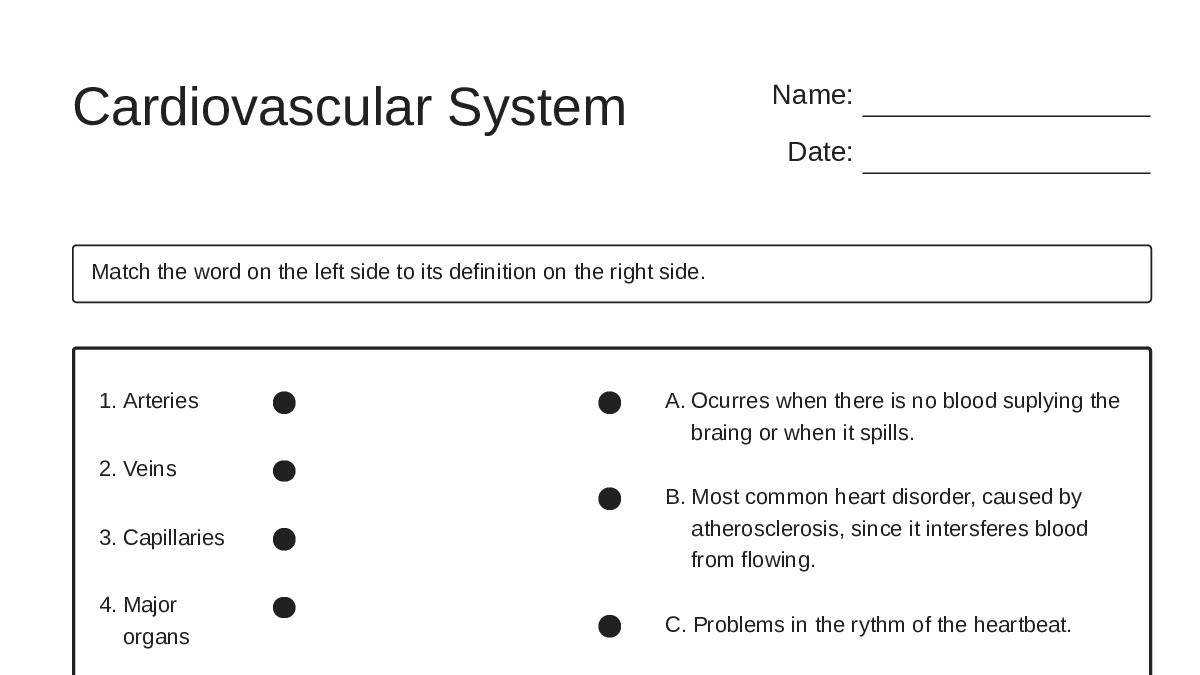 Cardiovascular System - My Worksheet Maker: Create Your Own Worksheets