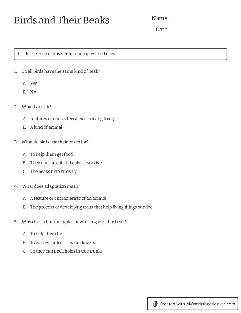 Birds and Their Beaks - My Worksheet Maker: Create Your Own Worksheets