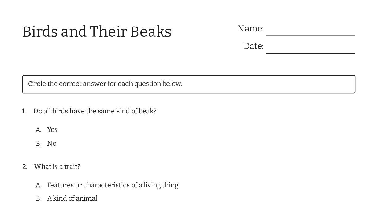 Birds and Their Beaks - My Worksheet Maker: Create Your Own Worksheets
