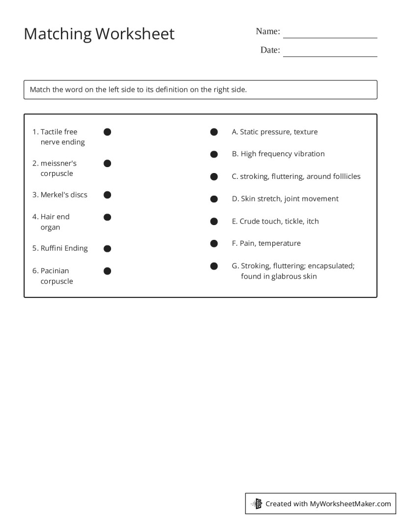 Matching Worksheet - My Worksheet Maker: Create Your Own Worksheets