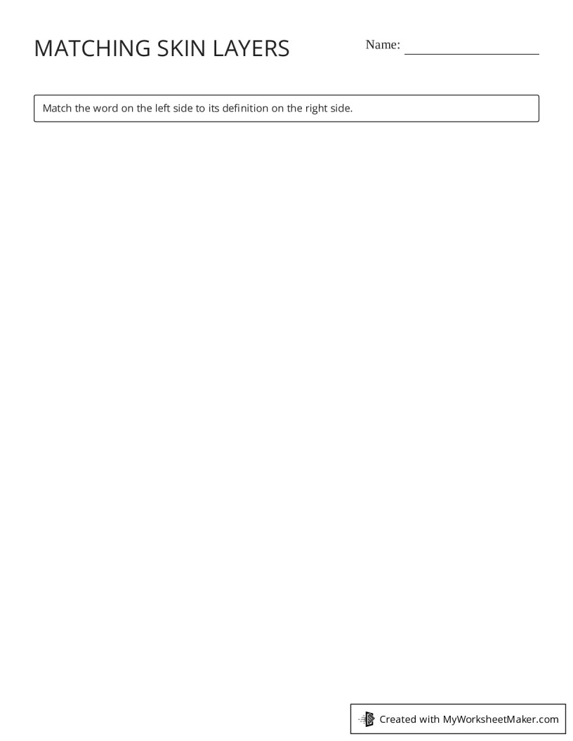 MATCHING SKIN LAYERS - My Worksheet Maker: Create Your Own Worksheets