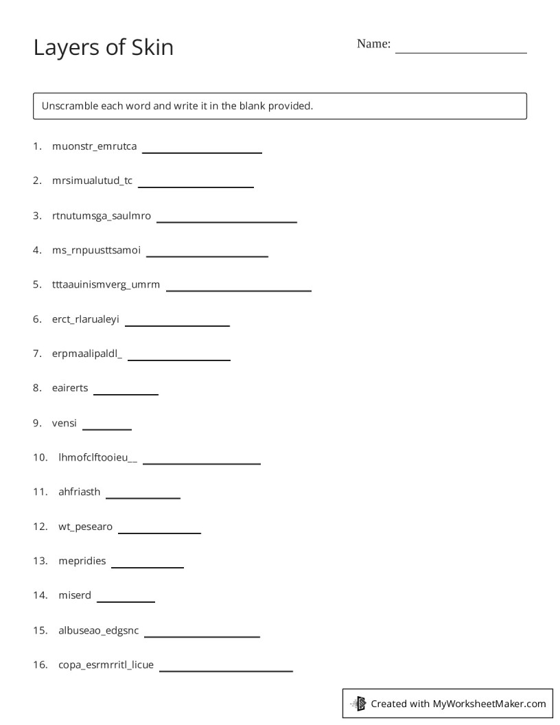 Layers of Skin - My Worksheet Maker: Create Your Own Worksheets