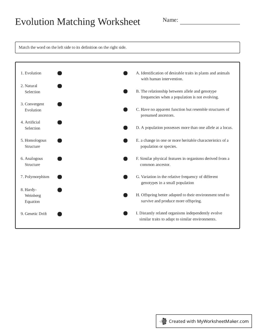 Evolution Matching Worksheet - My Worksheet Maker: Create Your Own ...