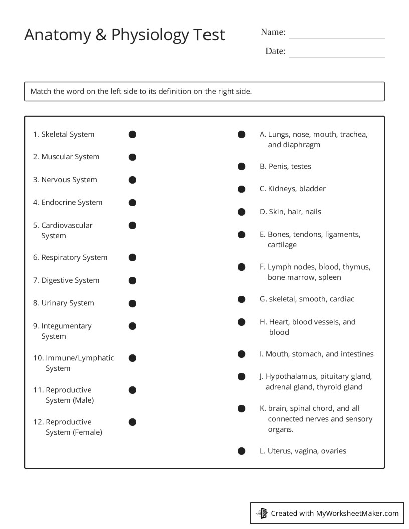 Anatomy & Physiology Test - My Worksheet Maker: Create Your Own Worksheets