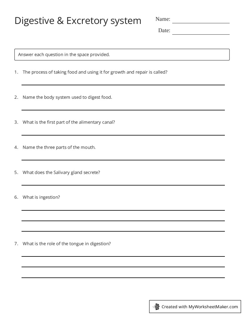 Digestive & Excretory system - My Worksheet Maker: Create Your Own ...