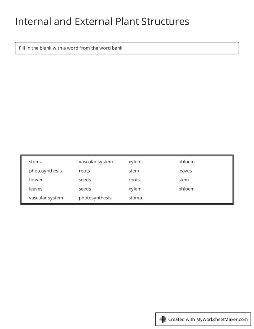 Internal and External Plant Structures - My Worksheet Maker: Create ...